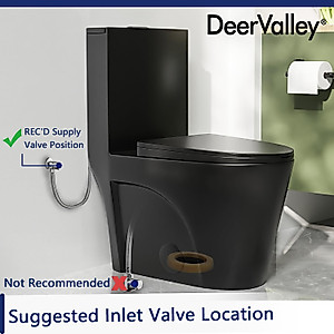 DeerValley Elongated One Piece Toilet, 17.32'' Comfortable Seat Height ADA Toilet with Soft Close Seat, Dual Flush Toilet with High Efficiency 1.1/1.6 GPF, Matte Black Skirted Toilet 12'' Rough-In
