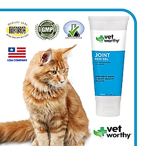 Vet Worthy Joint Paw Gel for Cats - 3oz - Glucosamine Chondroitin Joint Support Supplement -with MSM, Vitamin C, Yucca Schidigera, Sea Kelp - Salmon Flavor Cat Paw Gel - Daily Use