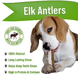 Buck Bone Organics Elk Antler Split Dog Chew (Medium)