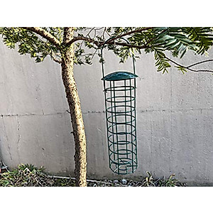 lanermoon Chicken Foraging Coop Toys for Hens,Hanging Iron Feeding Treat Box,Parrot Bird Vegetable Veggie Feeder Toys (Green)