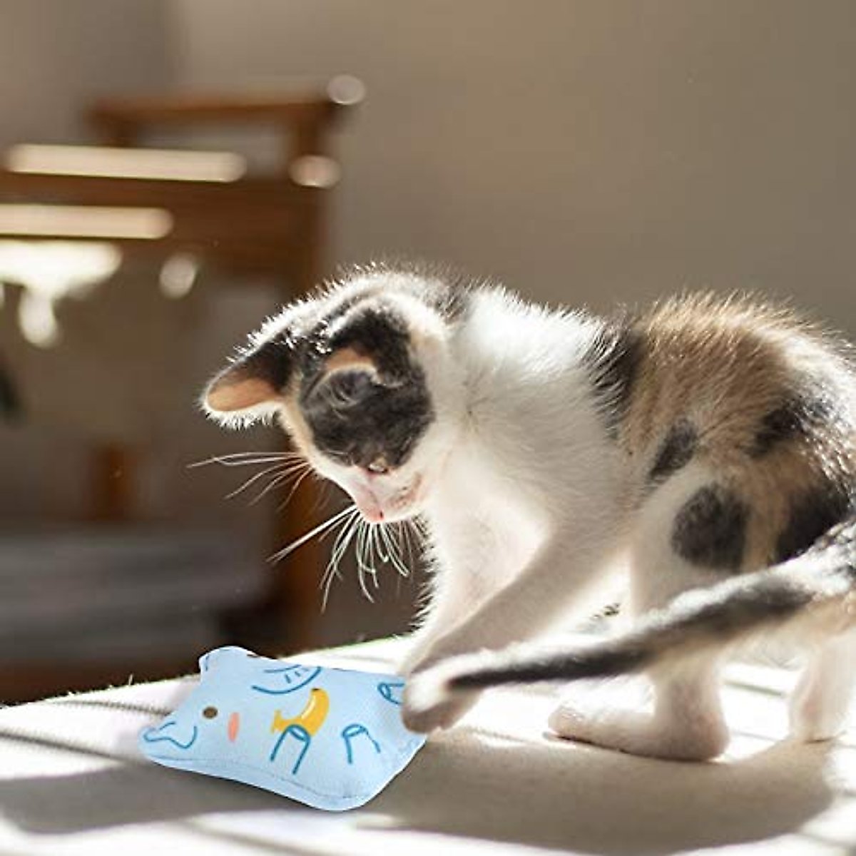 Dorakitten Catnip Toys for Indoor Cats - 5PCS Plush Cat Chew Toys Teething Interactive Catnip Filled Kitten Toy Soft Pet Toy (Animal Shapes)