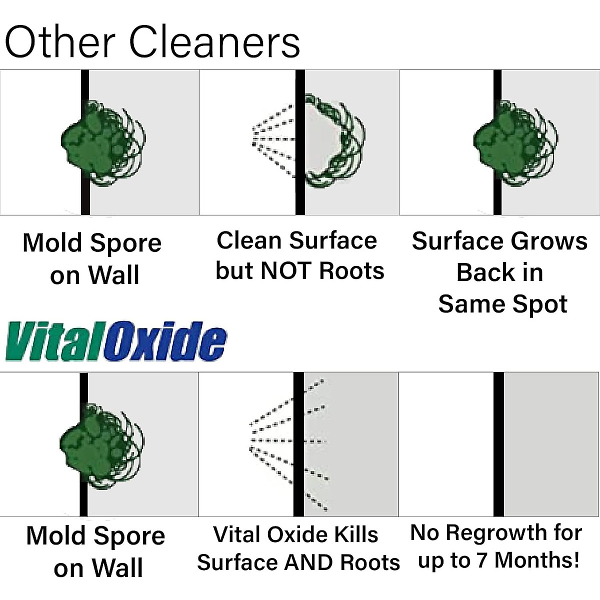 Vital Oxide Disinfectant, Deodorizer, Cleaner, Food-Contact Sanitizer, Virucide – (EPA registration #82972-1) – Kills Mold & Mildew, Eliminates Odors – 1 Gallon, 32 oz, & 3 oz
