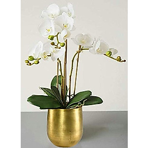 Serene Spaces Living Raw Brass Vase, Brass Decorative Accents Use as Brass Planter for Plant, Gold Flower Vase for Wedding or Event Centerpiece, Metallic Pot for Home, Measures 6" Tall & 5.5" Diameter