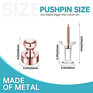 Pack of 24 Rose Gold Refrigerator Magnets Pink Decorative Magnets Small Fridge Magnets Cute Magnets for Whiteboard Office Kitchen Office