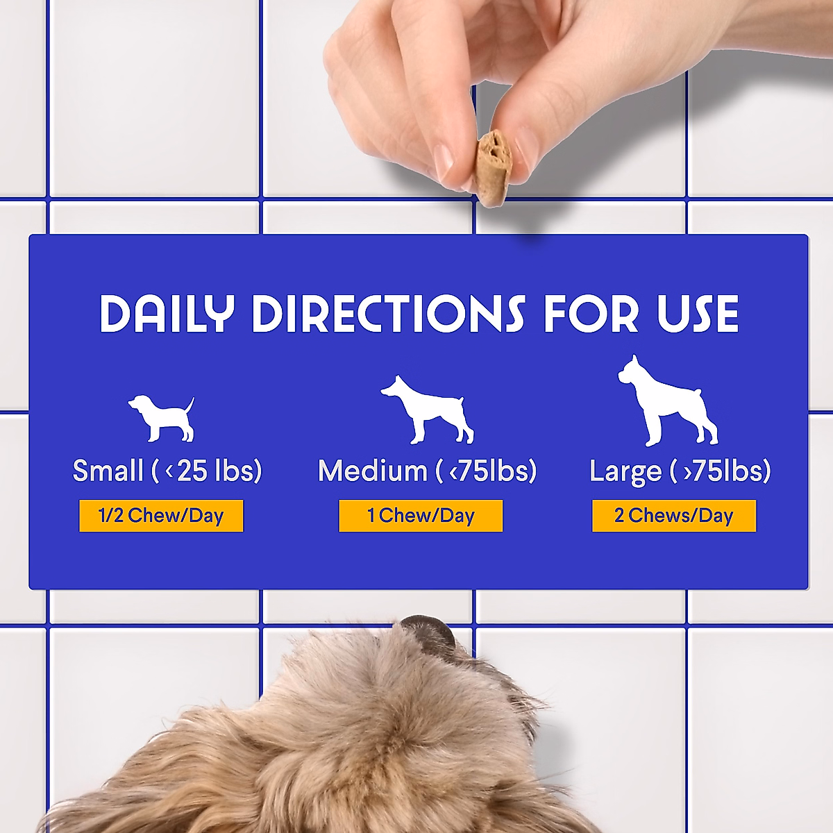 WONDER PAWS Premium Multivitamin for Dogs Daily Multi for Immune, Mood, Joint, Skin, Heart & Digestive Health - 21 in 1 Dog Multivitamins for Optimal Health Essential - 60 Multivitamin Dog Chews