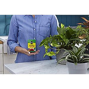 Miracle-Gro Water Soluble All Purpose Plant Food, Plant Fertilizer, 8 oz. (12-Pack)