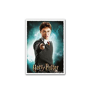 Arcane Tinmen Dragon Shield Sleeves - Matte Art 100 CT - MGT Card Sleeves - Compatible with Magic The Gathering Card Sleeves Pokémon and Other Card Games - Limited Edition: Harry Potter: Harry Potter