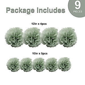 9PCS Dusty Sage Green Tissue Paper Pom Poms Flowers Wall Hanging Backdrop Streamers for Botanical Neutral Baby Shower Wedding Birthday Bridal Shower Nursery Room Garden Décor