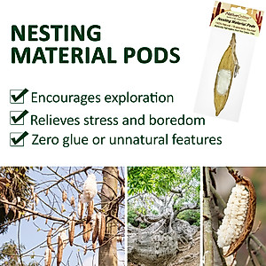 Exotic Nutrition Chew Toy Bundle - Natural Interactive Chew Toys - Chinchillas, Guinea Pigs, Hamsters, Rabbits, Degus, Prairie Dogs, Small Pets