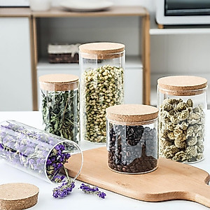DNIENKGE Airtight Glass Storage Containers with cork Lid, for Kitchen Pantry Organization and Storage jar，Ideal for Coffee Beans Snacks Flour Cereal Sugar Tea 16oz. (Circular 3.9 * 3.3in*2pcs)