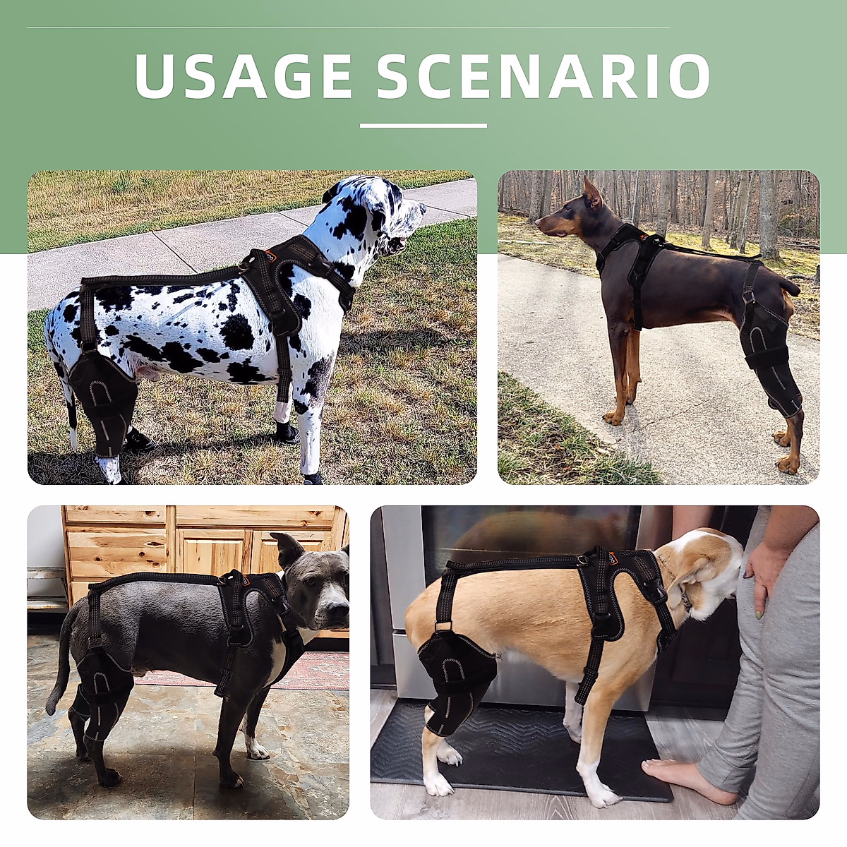 LISPOO Dog Knee Brace for Torn Acl Hind Leg, Luxating Patella, Cruciate Ligament, Dog Acl Knee Brace Support Back Leg with Arthritis Pain, Acl Brace for Dogs Rear Leg (XL)