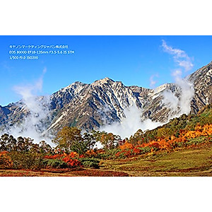 Canon DSLR camera EOS 8000D body 24.2 million pixels EOS8000D [International Version, No Warranty]