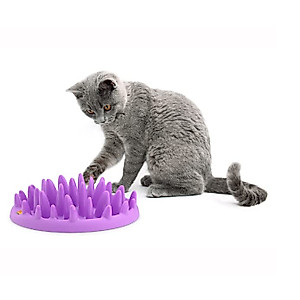 The Company of Animals CATCH Interactive Feeder, Purple