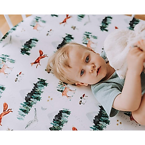 Sorrel + Fern 2-Pack Crib Sheets for Standard Crib Matress (Woodland Forest Animals) - Premium Fitted Sheets - Buttery Soft Cotton Blend