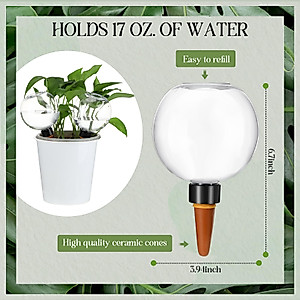 Domensi 4 Pcs Watering Globes Automatic Plastic Self Watering Planter Insert Waterer Watering Bulbs 17 oz for Indoor Plants Drip Irrigation Plant Watering Devices with Slow Release Control for Garden