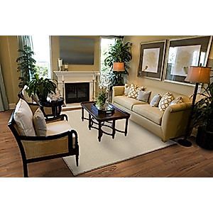 Garland Rug Plush Remnant Area Rug, 4'x6', Beige/Tan