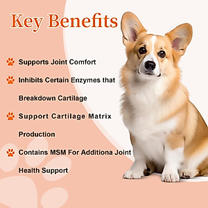 Wiffypets Hip and Joint Supplement Dogs with Glucasamine for Dogs, Hip Pain Relief for Small, Medium and Large Breed, Hip and Joint Chews for Dog MSM, Chondroitin 90 Count, Chicken Flavor