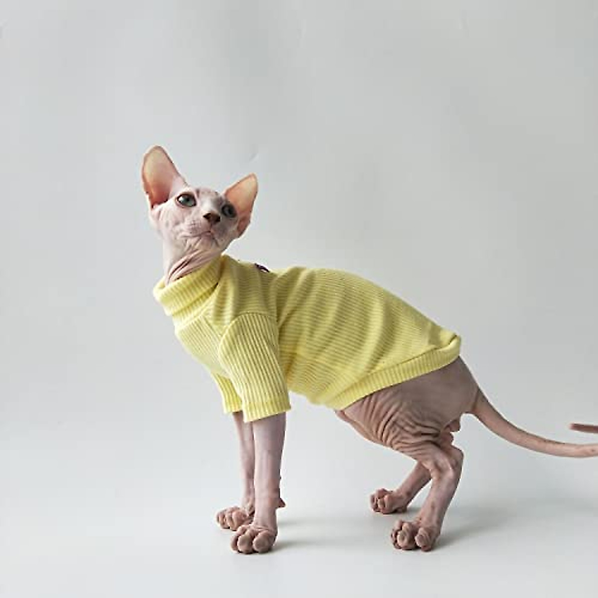 Sphynx Cat Clothes Comfortable and Soft Sweater Hairless Cat Sphynx,Devon, Connis Cat Autumn and Spring Clothes for Cats & Small Dogs (L, Pink)