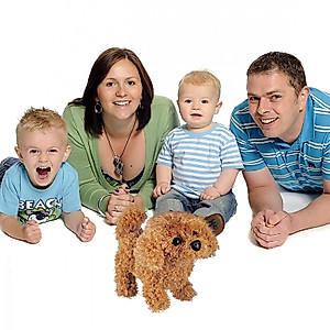 WorWoder Plush Teddy Toy Puppy Electronic Interactive Pet Dog - Walking, Barking, Tail Wagging, Stretching Companion Animal for Kids Children (Teddy Dog)