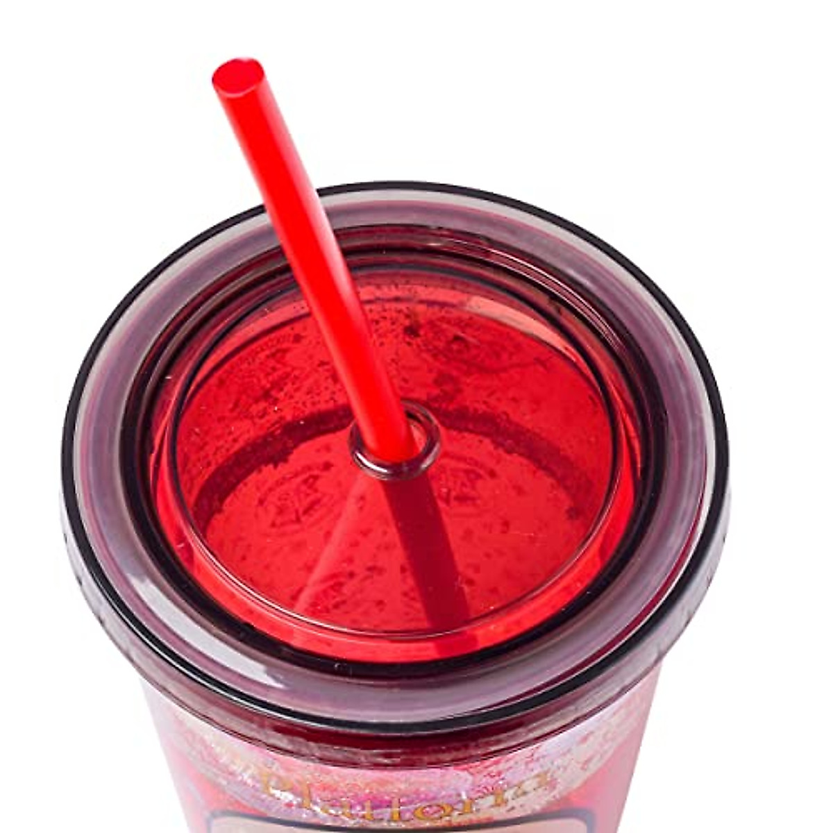 Silver Buffalo Harry Potter Hogwarts Express Plastic Snow Globe Cold Cup w/Lid and Straw, 14 Ounces