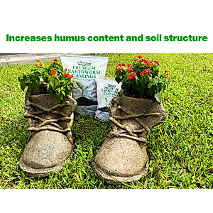 Viagrow Premium Earthworm Castings, Soil Builder, Soil Amendment (1, 1 LB)