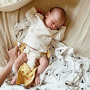 Esembly Cloth Diaper Inner, Trim-Fitting, Certified Organic Cotton, Reusable and Absorbent Leak-Proof Diapers with Snap Closure for Eco-Friendly Diapering, 3-Pack Size 1 (7-17lbs)