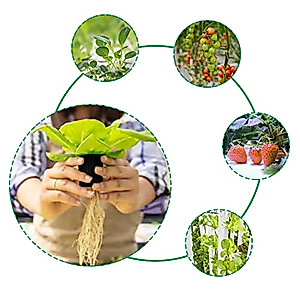 Business King 2 inch Net Pots for Hydroponics 50 Packs with Plant Lable Heavy Duty, Reusable, UV Resistant Slotted Mesh Net Cups for Tower Gardens, Clone Machine, Aeroponics System (2 inch 50 Packs)