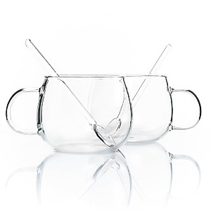 Tortoise IT Glass Clear Crystal Drinks Tumbler Tea Mug Coffee Cup for Espresso Scented Tea Lover Gifts with Glass Stirring Bar, 10.1 Oz (300ml) Set of 2