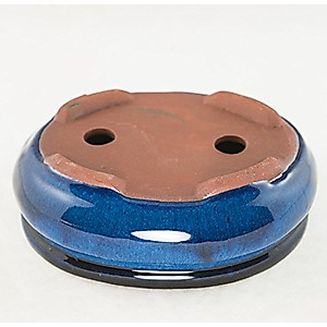 Oval Mame Shohin Bonsai / Cactus & Succulent Pot + Mesh 6"x 5"x 2" - Dark Blue Stain