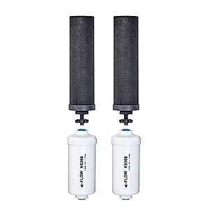 Set of 2 Berkey Authentic Black Berkey Elements (BB9-2) and 2 Berkey PF-2 Fluoride and Arsenic Reduction Elements - Combo Pack