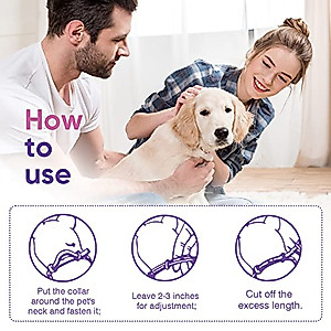 Calming Collar for Dogs 4 Packs Pheromone Collars Appeasing Dog Separation Anxiety Relief Stress 60 Days Calm Pheromones Relax Breakaway Design Adjustable Size Fit Medium Large Small Puppy(25 Inches)