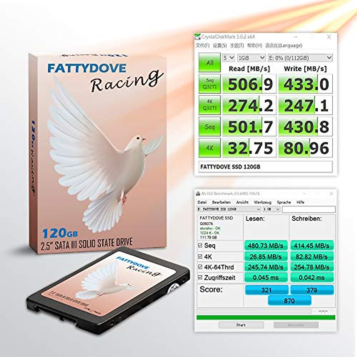 FATTYDOVE 2.5 inch SSD 120GB Internal Solid State Drive SATA3 SSD Drive 2.5 inch 6Gb/s for PC/Laptop with SATA III Cable (120GB SSD Drive)