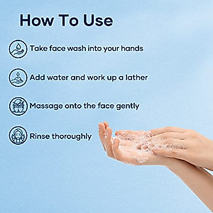 Botanic Hearth Tea Tree Face Wash with Mint - Acne Fighting, Therapeutic, Hydrating Liquid Face Soap with Pure Tea Tree Oil - for Women and Men, Paraben Free, Fights Acne - 16 fl oz