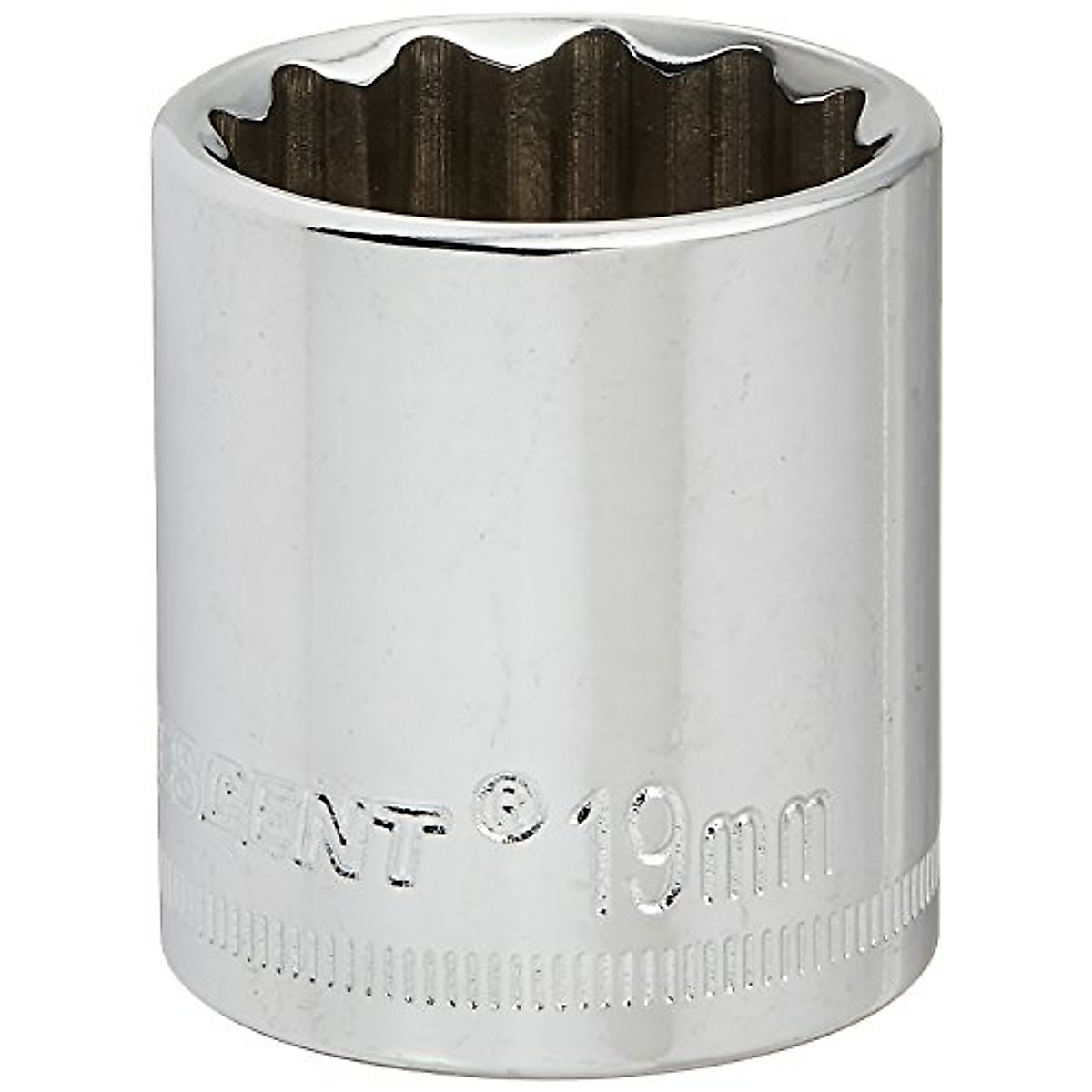 Crescent 3/8" Drive 12 Point Standard Metric Socket 19mm - CDS49N