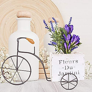 DOITOOL Bike Flower Pot Bicycle Planter Wooden Flower Box Tricycle Plant Stand Decorative Succulent Container Bonsai Bicycle Home Garden Decor Random Style (Size L)