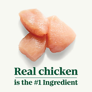 NUTRO NATURAL CHOICE Large Breed Adult Dry Dog Food, Chicken & Brown Rice Recipe Dog Kibble, 30 lb. Bag