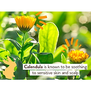 Babo Botanicals Moisturizing Oat & Calendula 2-in-1 Shampoo & Wash - For Dry or Sensitive Skin - For all ages - Lightly Scented - Vegan - 16 Fl Oz