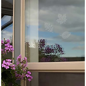 WindowAlert Leaf Medley Anti-Collision Decal - UV-Reflective Window Decal to Protect Wild Birds from Glass Collisions 2-Pack - Made in The USA