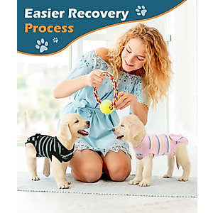 VavoPaw Dog Surgery Suit, Soft Breathable Dog Onesie for Surgery, Dog Bodysuit for Female Male Puppies, Puppy Cone E-Collar Alternative for Wounds Skin Diseases After Surgery, XXXL Black Stripe