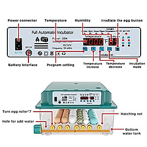 Ganggend 36 Eggs Incubators for Hatching Egg with Automatic Turner, Temperature Control Chickens Quail Egg Incubator, 12V/110V Humidity Monitoring Incubators for Farm Poultry Duck