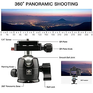 SIRUI Carbon Fiber Travel Tripod Compact Lightweight Slik Tripod with B00K Head, Arca Swiss Plate, Load 8kg/17.6lbs, Weight 2lbs, Folded Height 13" (Traveler 5CX)