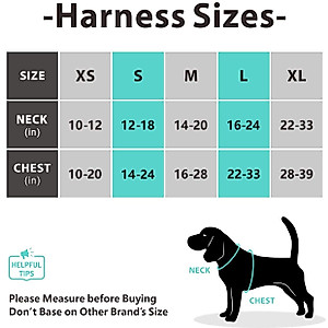 PoyPet No Pull Dog Harness, No Choke Reflective Dog Vest, Adjustable Pet Harnesses with Easy Control Padded Handle for Small Medium Large Dogs(Tumalo Teal,S)