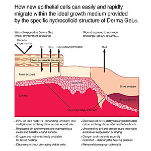 Veterinus Derma GeL® - Natural Spray 50mL - 1.7 fl.oz. (Twin-Pack of 2 x 50mL) - CAT Safe Non Toxic Contains: Freeze Dried Lavender extr. (no Essential Oil)