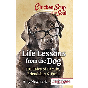 Chicken Soup for the Soul: Life Lessons from the Dog: 101 Tales of Family, Friendship & Fun