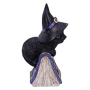 Nemesis Now Pocus Witch's Familiar Black Cat Figurine with Spellbook – Hand-Painted Resin Decoration for Witchcraft and Magic Lovers