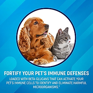 Agaricus Bio 300mg for Canines and Felines, Beta Glucan Mushroom Pet Supplement to Boost Critical Immune Defense & Cellular Health, Antioxidant Powder, Energy Support for Old Dogs and Cats, 60 caps