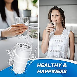 PUREPLUS NSF53 Lead Removal ZR-017 Water Filter, Replacement Cartridges for ZR-001, ZR-003, ZR-004, ZR-006, ZR-008, ZR-600, ZR-012, 5-Stage Filtration, 3PACK