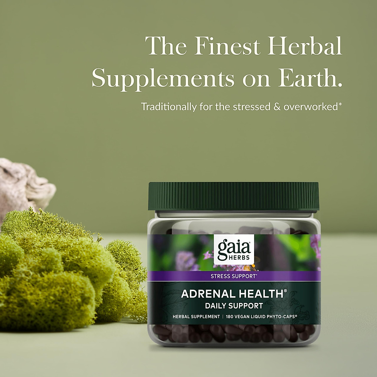 Gaia Herbs Adrenal Health Daily Support - with Ashwagandha, Holy Basil & Schisandra - Herbal Supplement to Help Maintain Healthy Energy and Stress Levels - 180 Liquid Phyto-Capsules (180 Count)