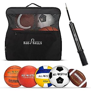 Complete Sports Ball Set - Outdoor Sports Balls in Carry Bag - Sport Balls Kit with Pump for Adults and Kids - Branded Soccer Ball, Basketball, Volleyball, American Football, Dodgeball Playground Ball