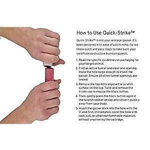 Quick Strike Mole & Gopher Gasser, 4-Pk.